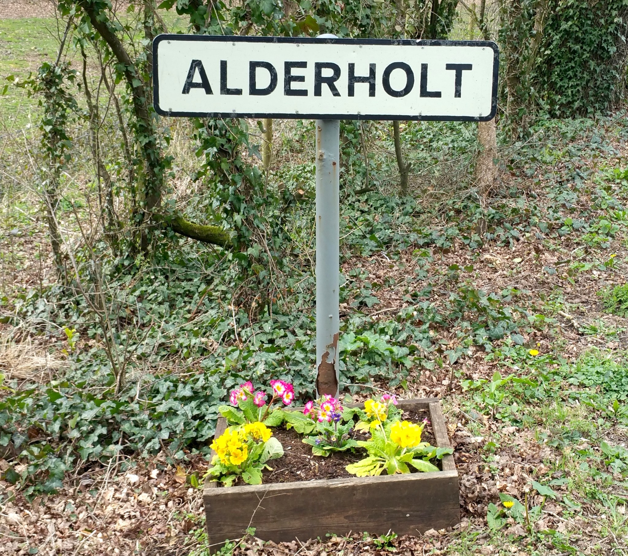 Alderholt Parish | ALDERHOLT COMMUNITY FUND